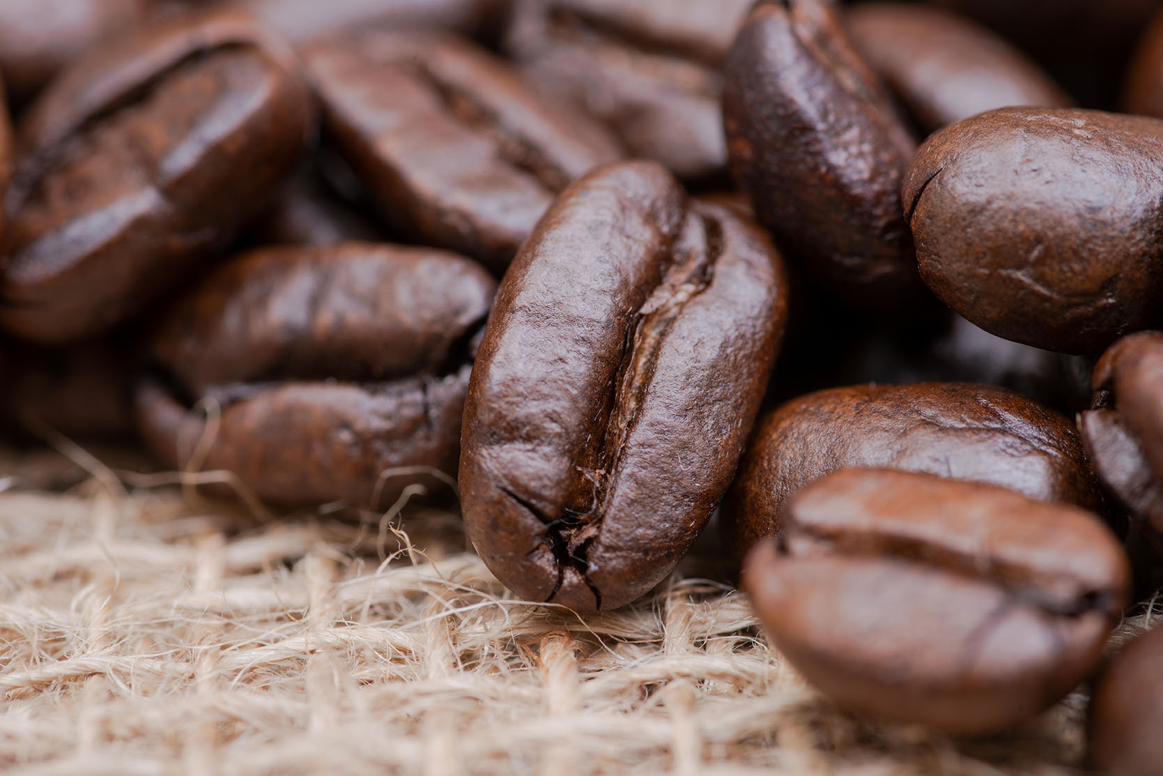 Discovering the Sumatra Coffee Bean - Bean Leaf | Everything about coffee